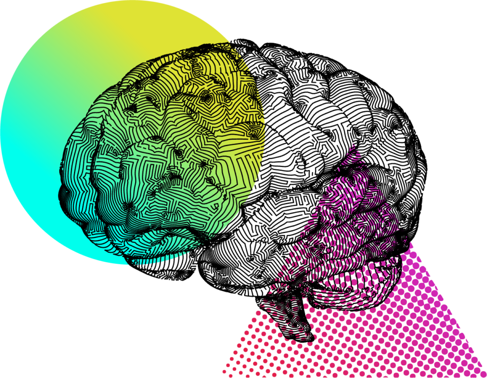 Free Chapter Book – Science of Learning | Neuron Learning